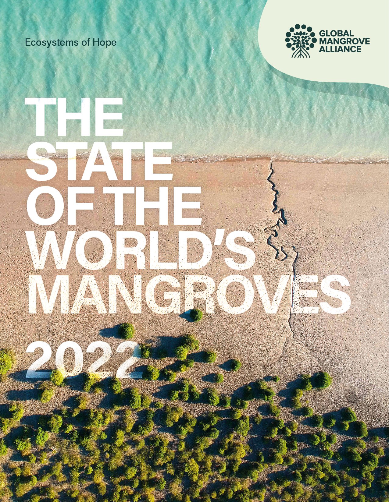 The State of the World's Mangroves 2022 - Caribbean Climate-Smart ...