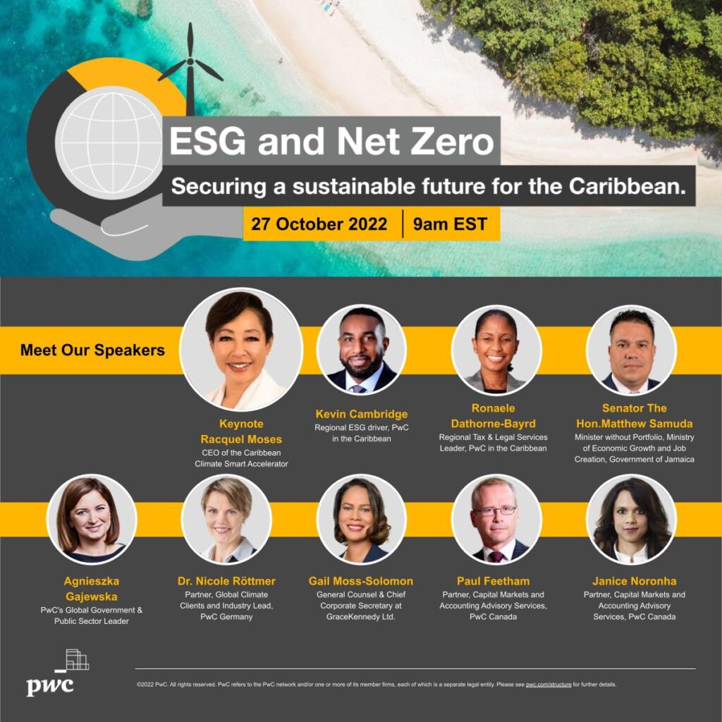 ESG and Net Zero: Securing a sustainable future for the Caribbean ...