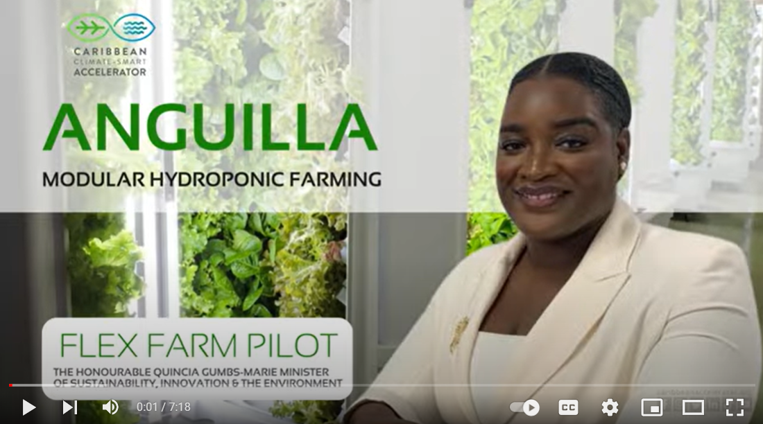 Growing Upwards: A Pilot Vertical Farming Project Captivates Anguillans ...