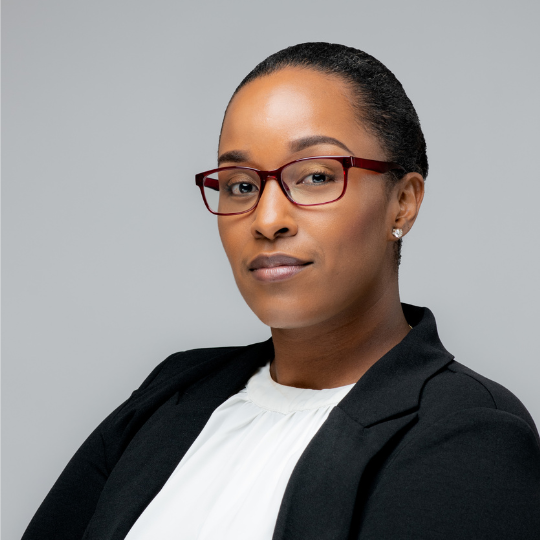 Our Work - Caribbean Climate-Smart Accelerator