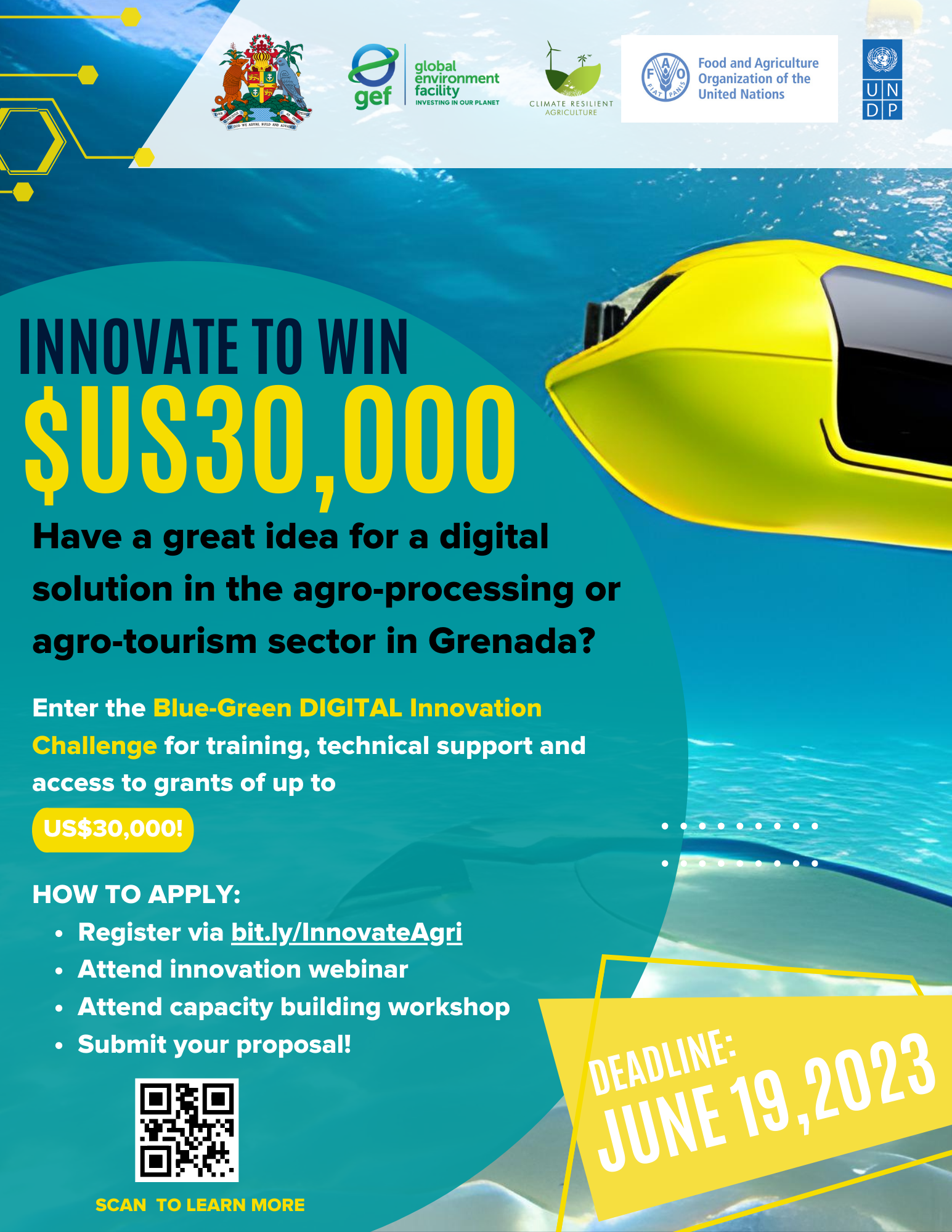 Innovators to get support with the launch of the Blue-Green Digital ...